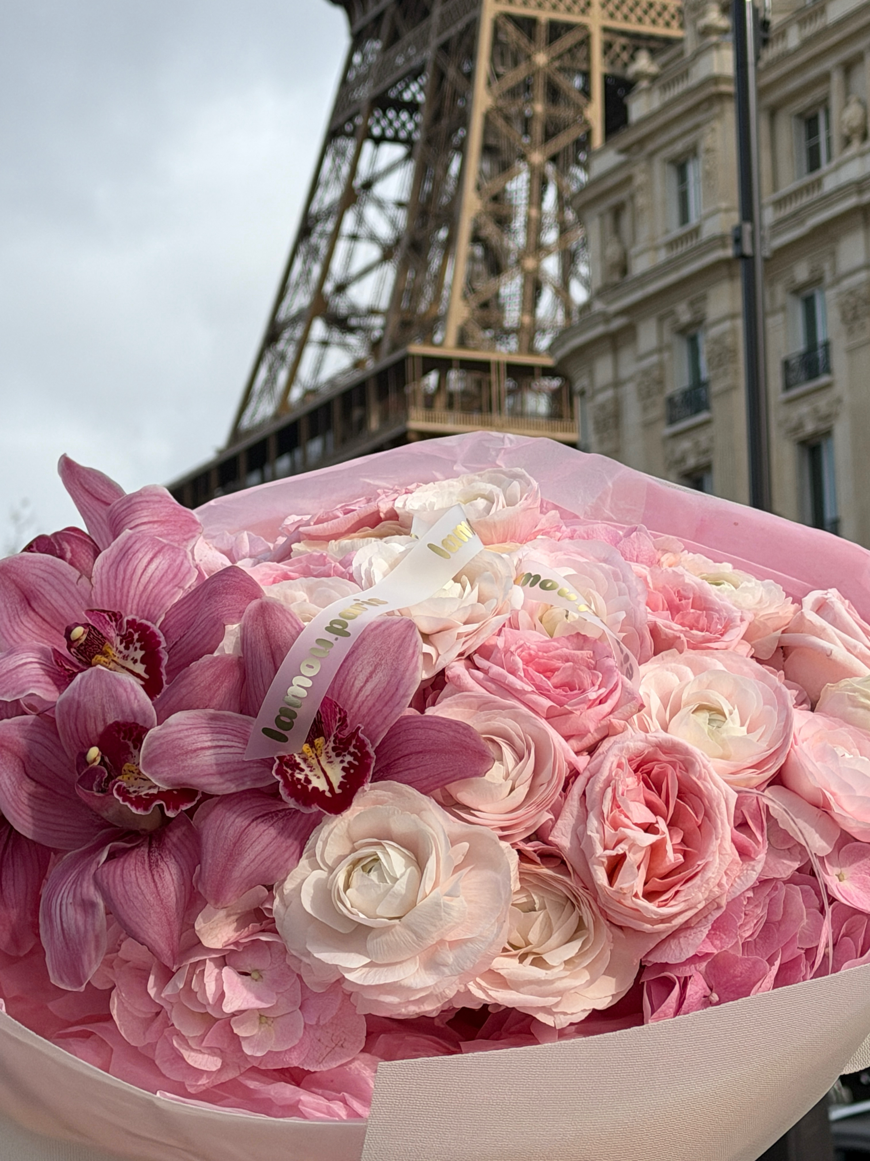 LAMOU PARIS