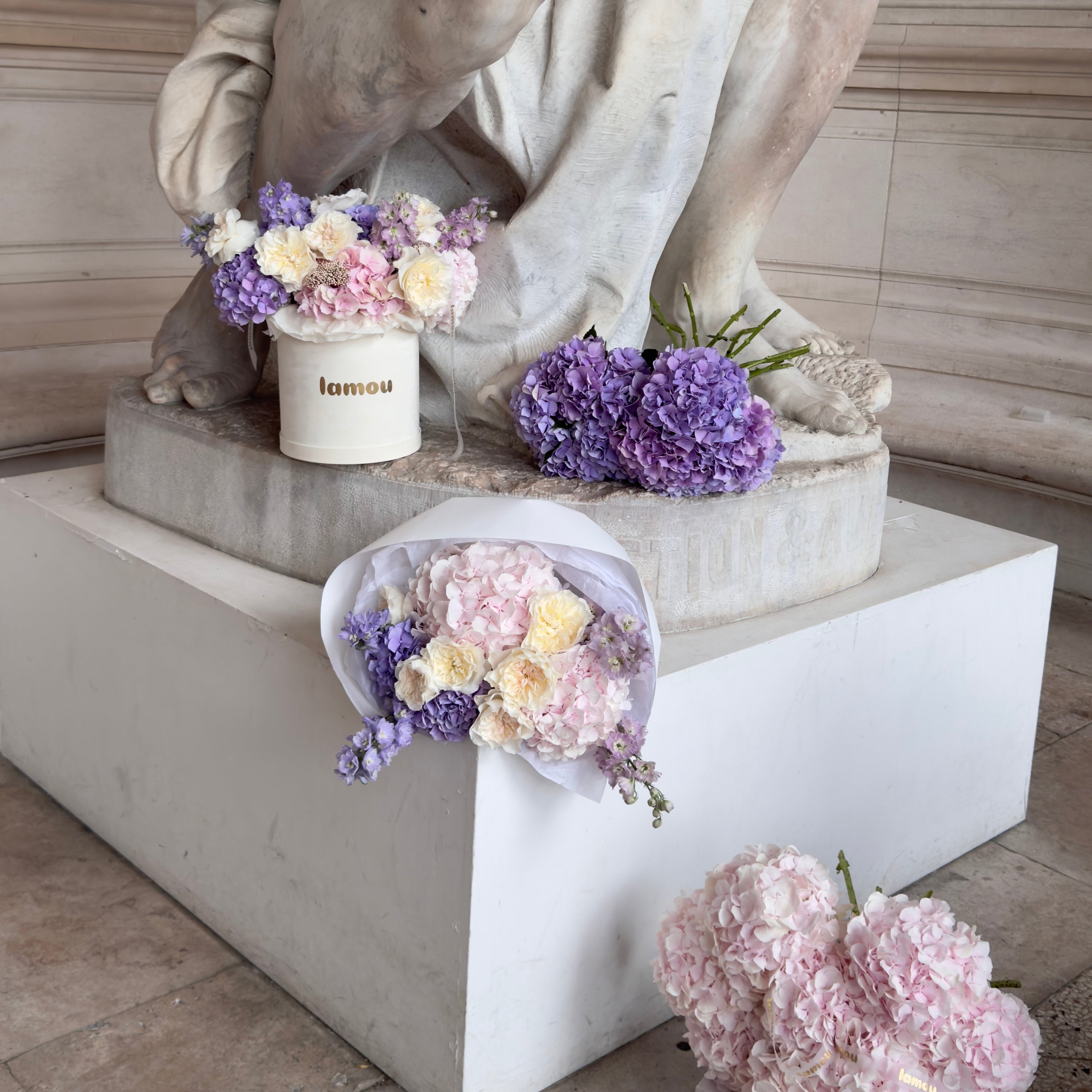 LAMOU PARIS
